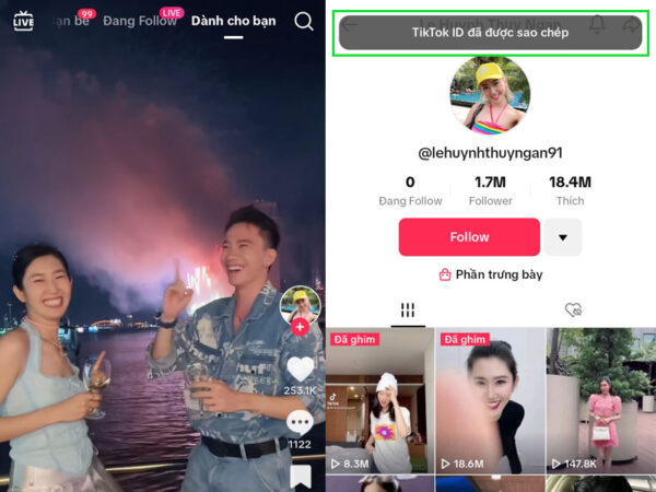 Tik Tok ID là gì? Cách xem ID TikTok trên điện thoại máy tính